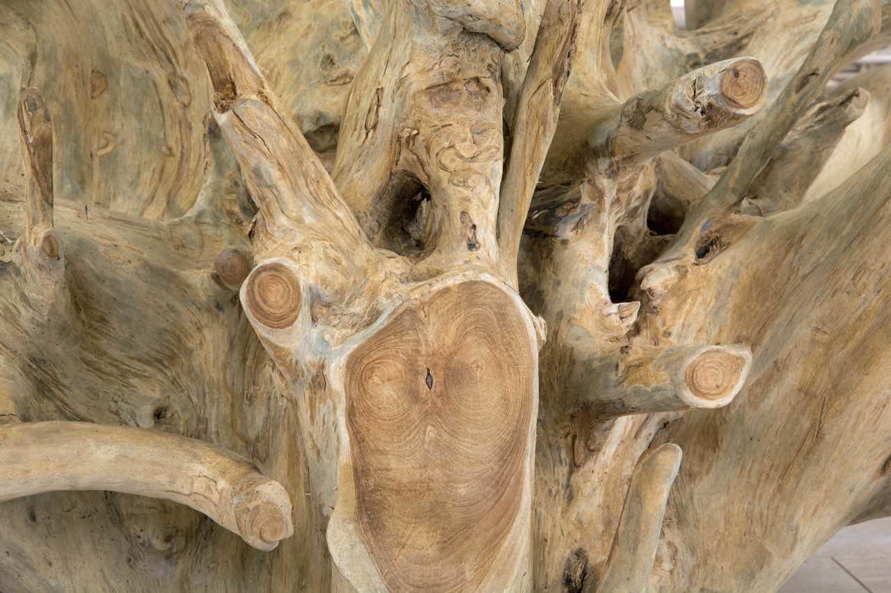 1.2m Reclaimed Teak Root Rectangular Coffee Table - Sustainable Furniture