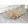 1.2m Reclaimed Teak Root Oval Coffee Table - Sustainable Furniture