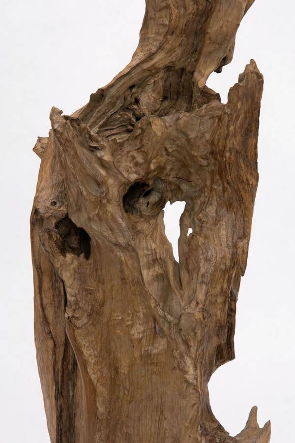 Reclaimed Teak Root Sculpture - 2 Sizes - Sustainable Furniture